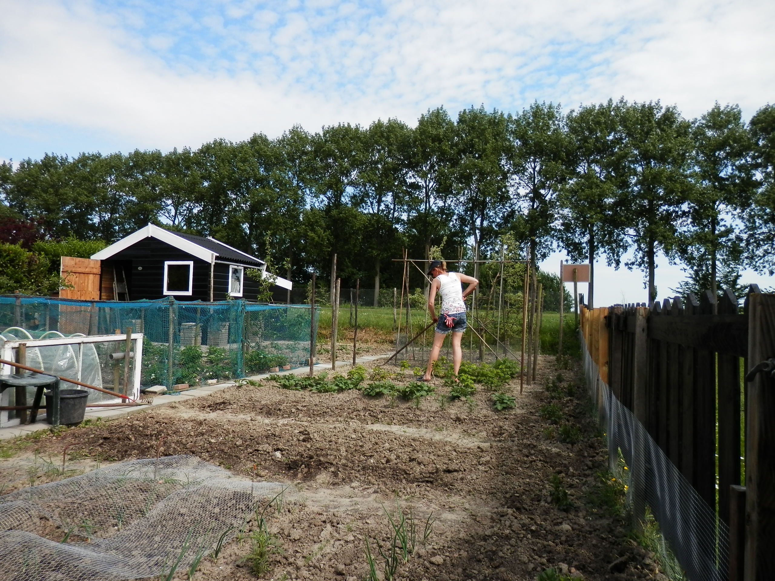 8 Redenen om een moestuin te beginnen – MOESTUIN HIPPIE