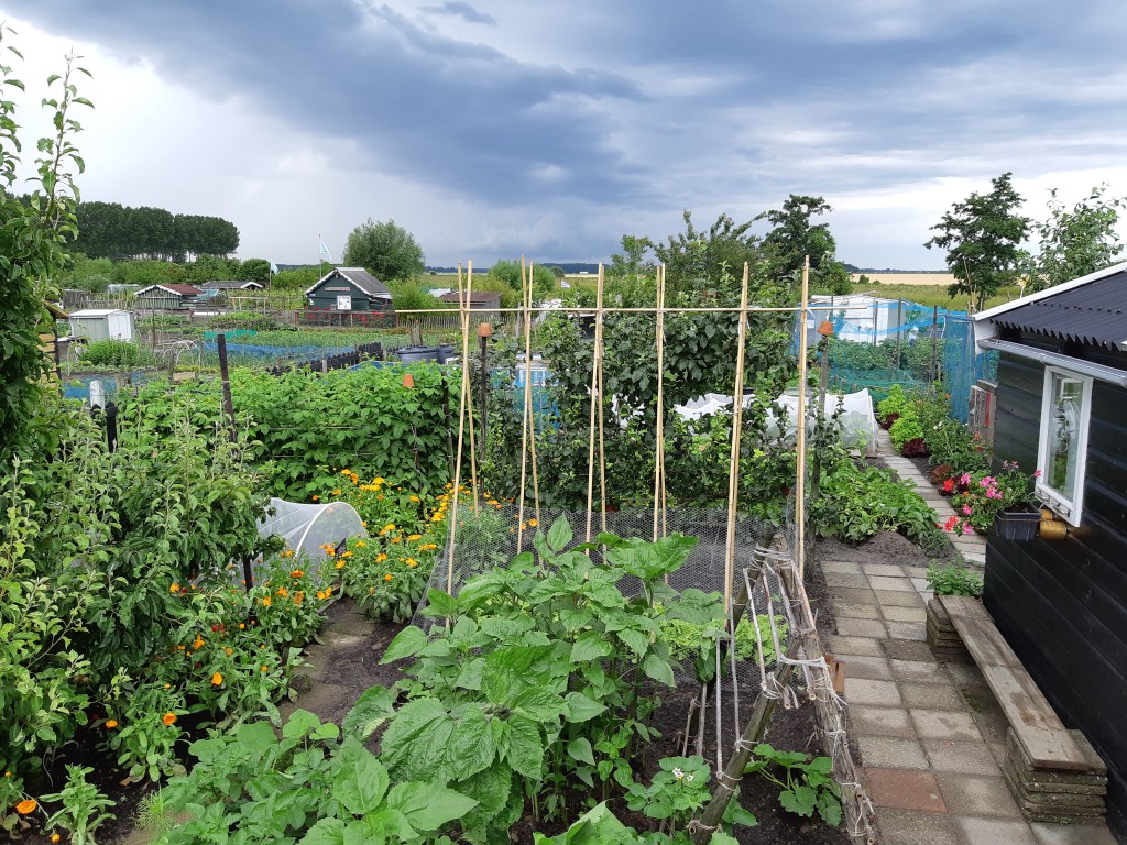 MOESTUIN HIPPIE – Moestuin blog over moestuinieren, duurzaamheid en een ...