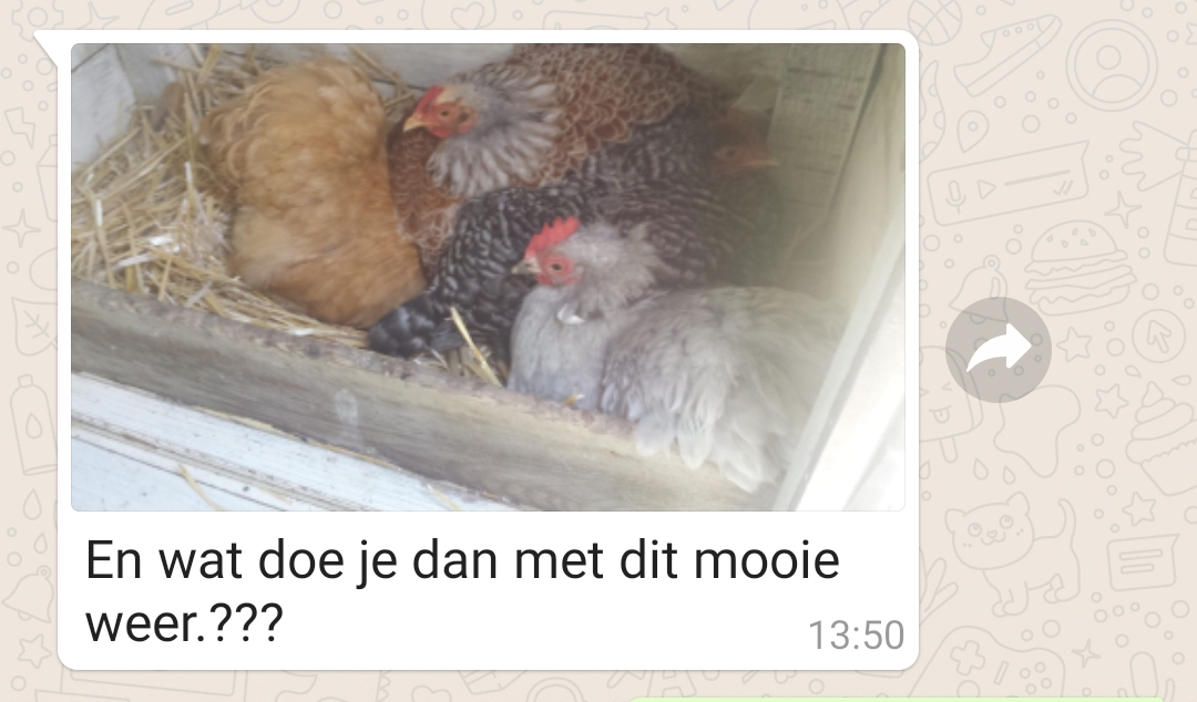 Saté – MOESTUIN HIPPIE