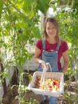 Teeltplan maken met wisselteelt. – MOESTUIN HIPPIE